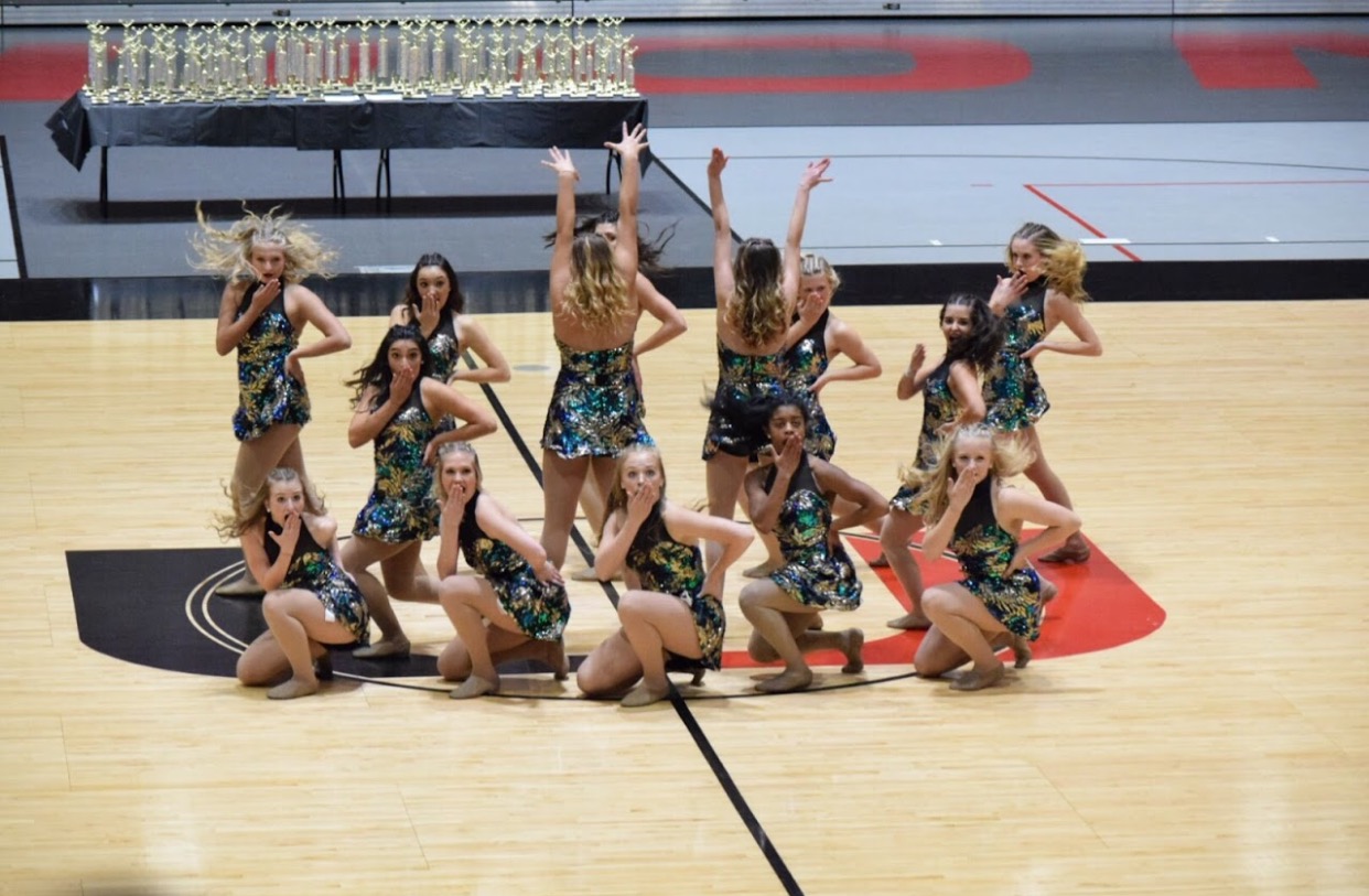 Performances & Competitions | Union Highsteppers